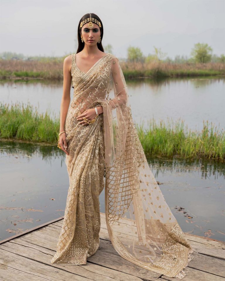Explore 13 different types of sarees in India